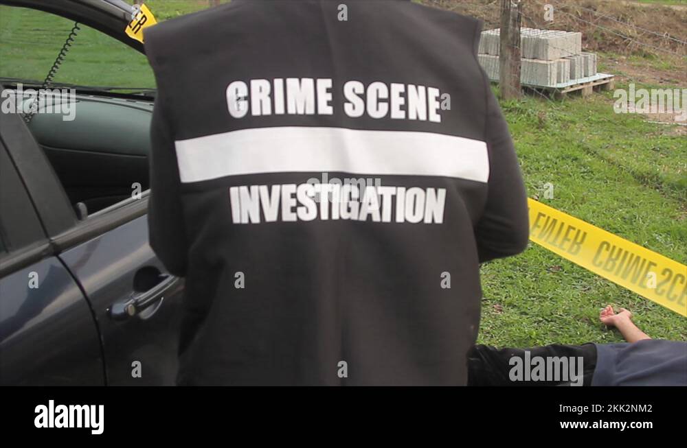 CSI detective at the crime scene examining the crime scene with a ...
