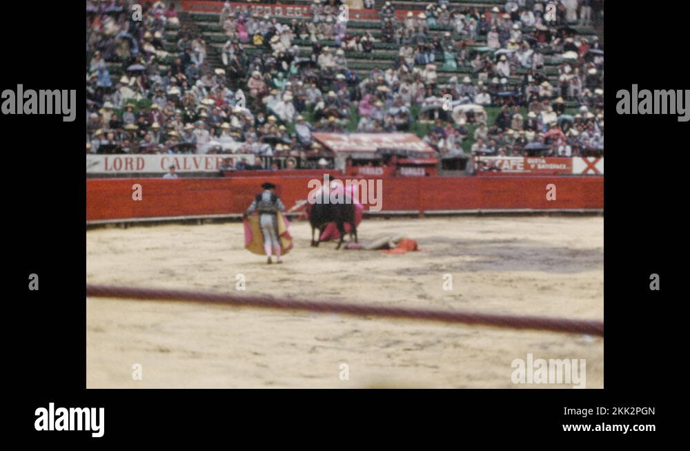 Matador bull Stock Videos & Footage - HD and 4K Video Clips - Alamy