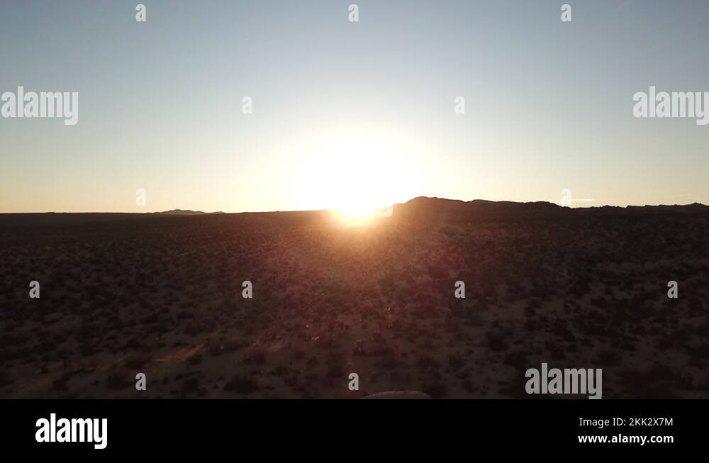Desert oak trees Stock Videos & Footage - HD and 4K Video Clips - Alamy