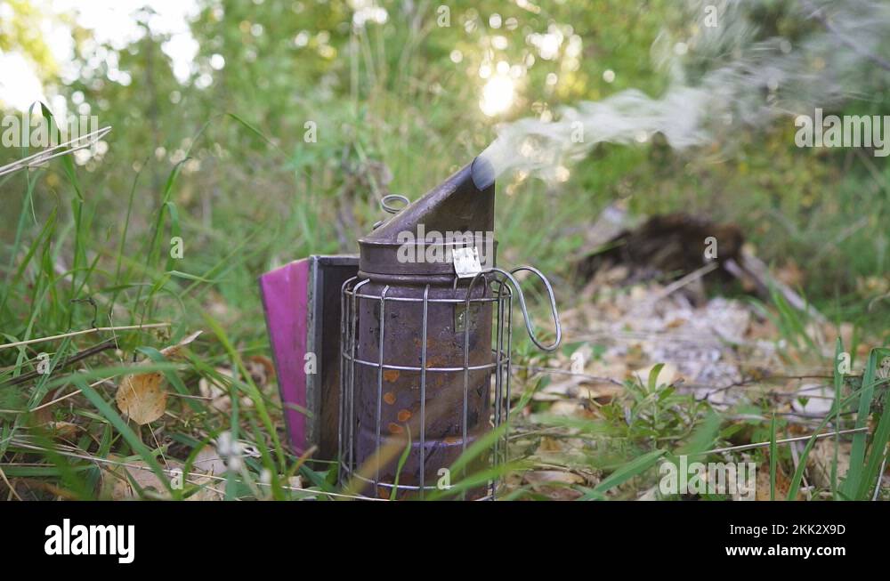 Pipe smoker Stock Videos & Footage - HD and 4K Video Clips - Alamy