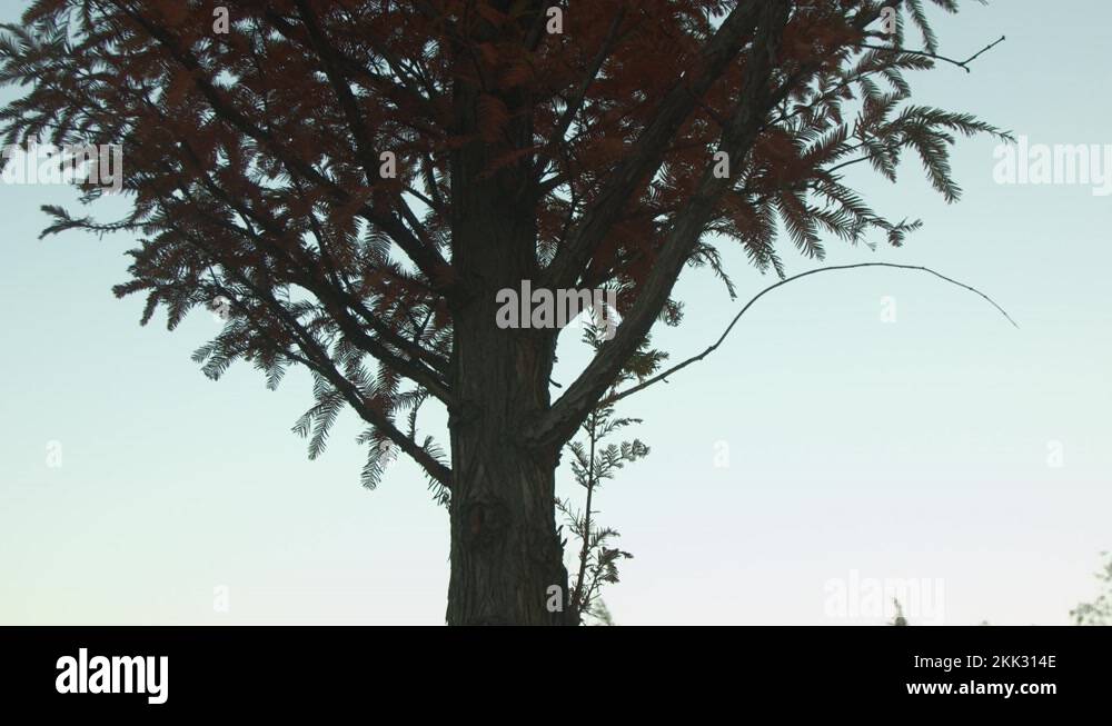 Kaya Stock Videos & Footage - HD and 4K Video Clips - Alamy