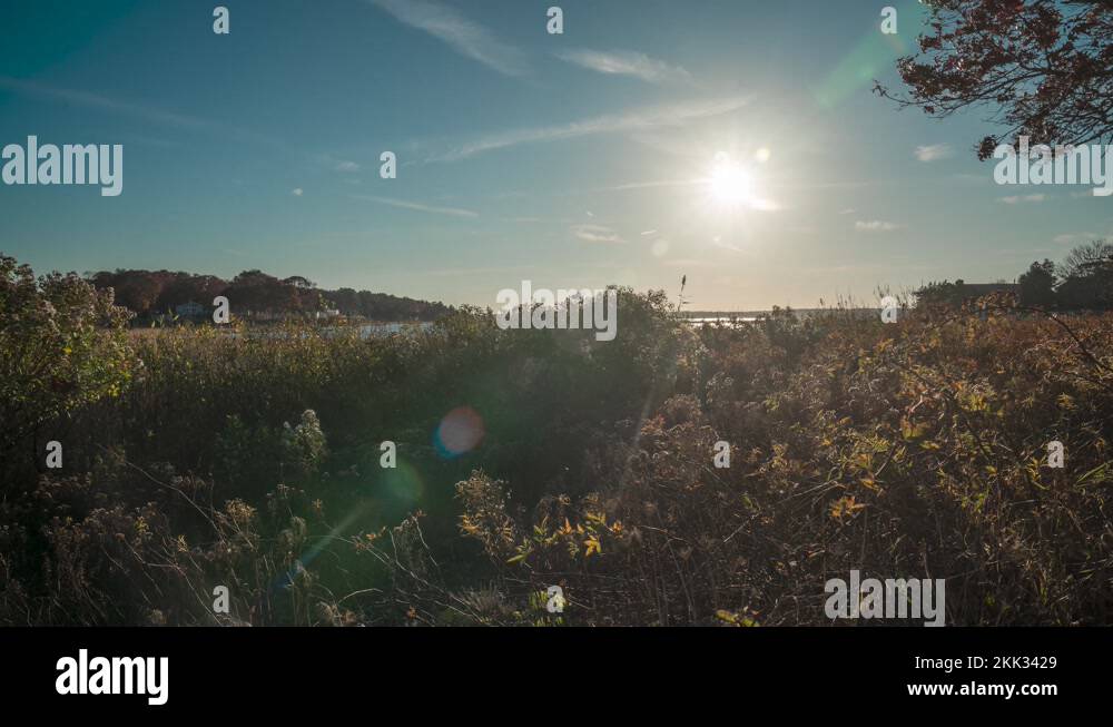Sony a iii Stock Videos & Footage - HD and 4K Video Clips - Alamy