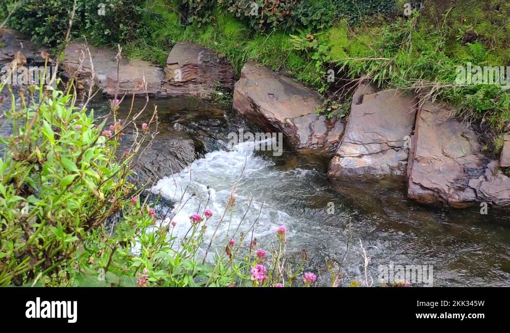 Cornwall boscastle river Stock Videos & Footage - HD and 4K Video Clips ...