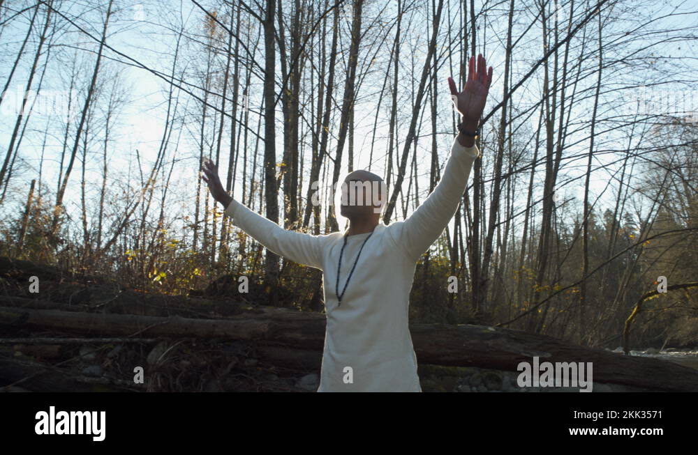 Tai chi pose on white Stock Videos & Footage - HD and 4K Video Clips ...
