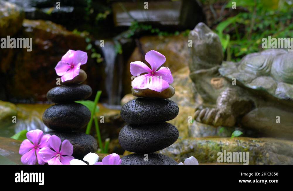 Pyramid of the flowers Stock Videos & Footage - HD and 4K Video Clips ...