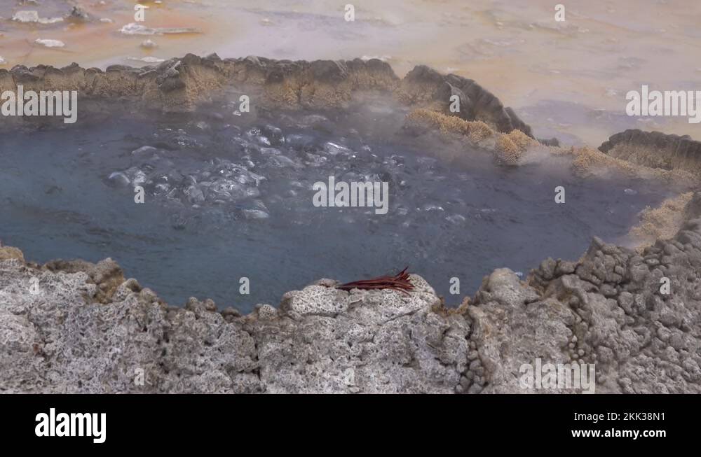 Boiling water bubbler Geyser. Active geyser with major eruptions ...