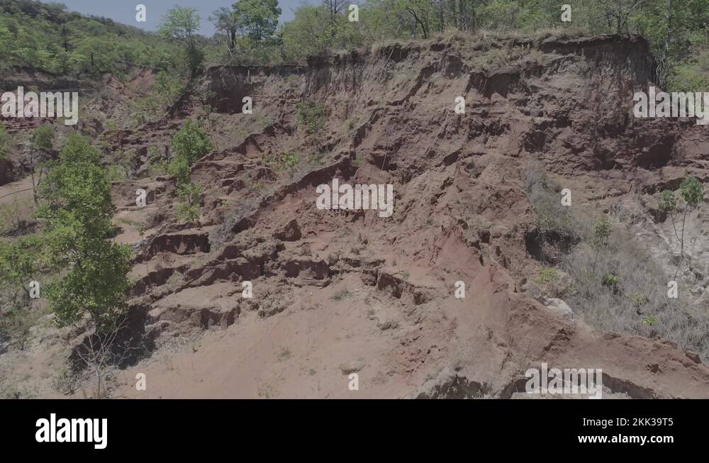 Gully erosion tree Stock Videos & Footage - HD and 4K Video Clips - Alamy