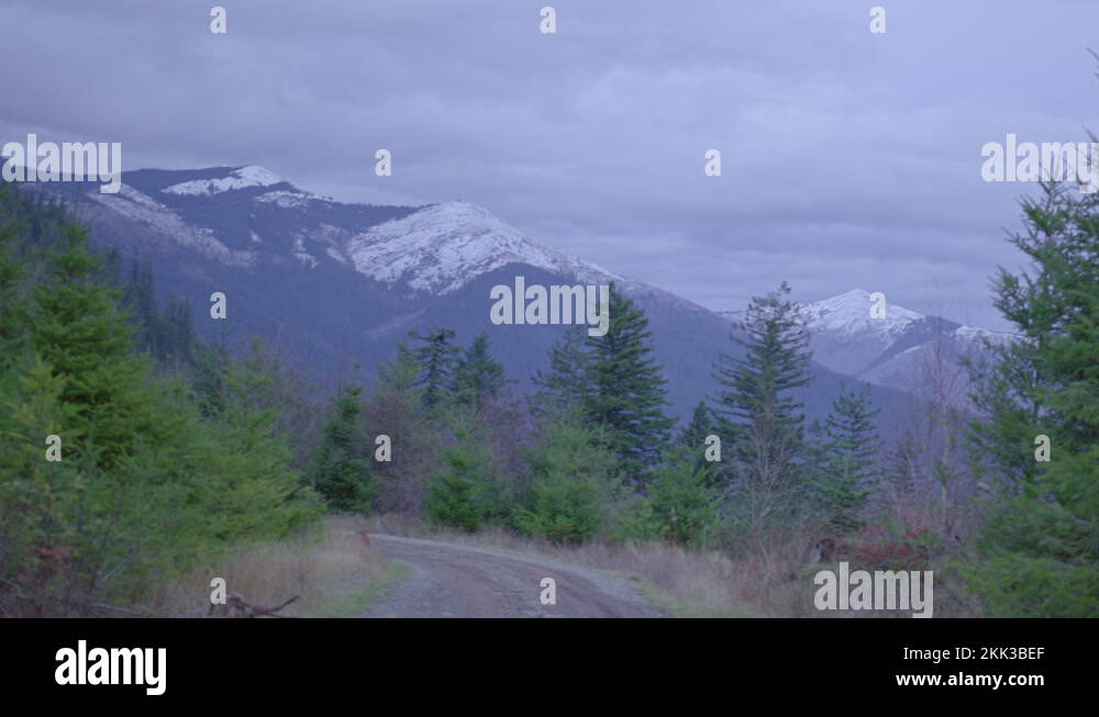 Old logging road Stock Videos & Footage - HD and 4K Video Clips - Alamy