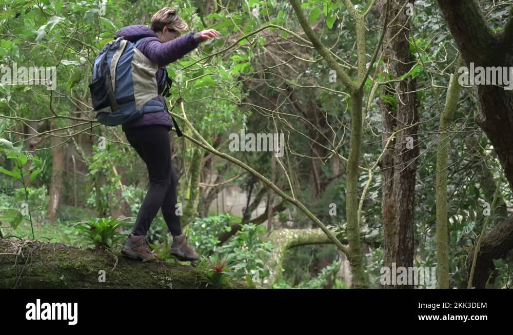 Adult female log balancing Stock Videos & Footage - HD and 4K Video ...