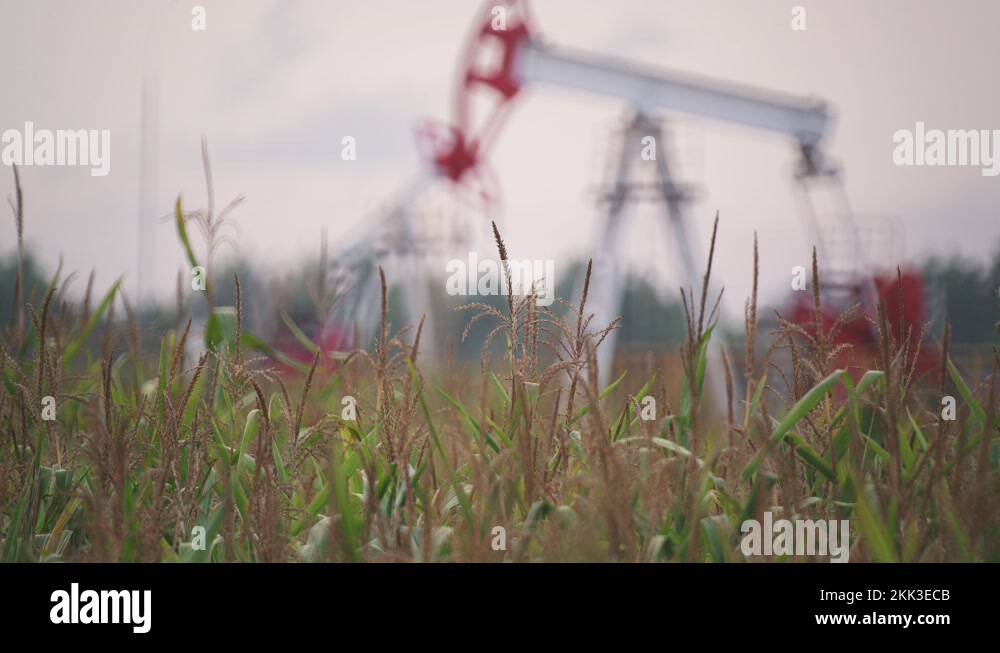 Resource extraction Stock Videos & Footage - HD and 4K Video Clips - Alamy