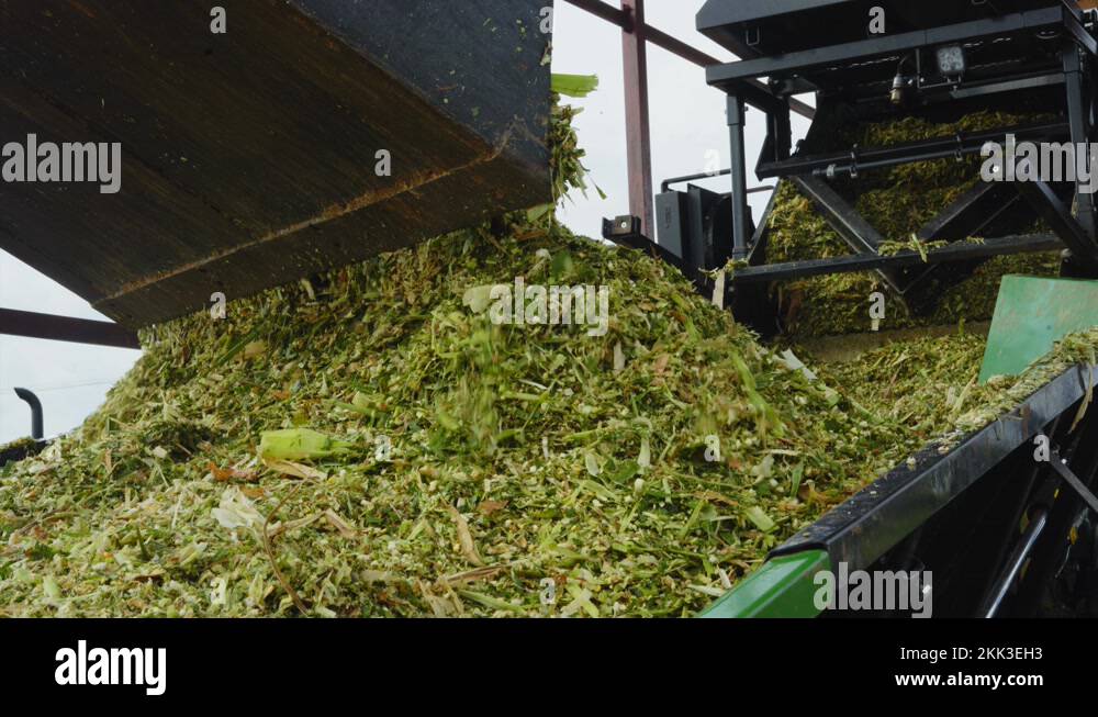 Machine silage Stock Videos & Footage - HD and 4K Video Clips - Alamy