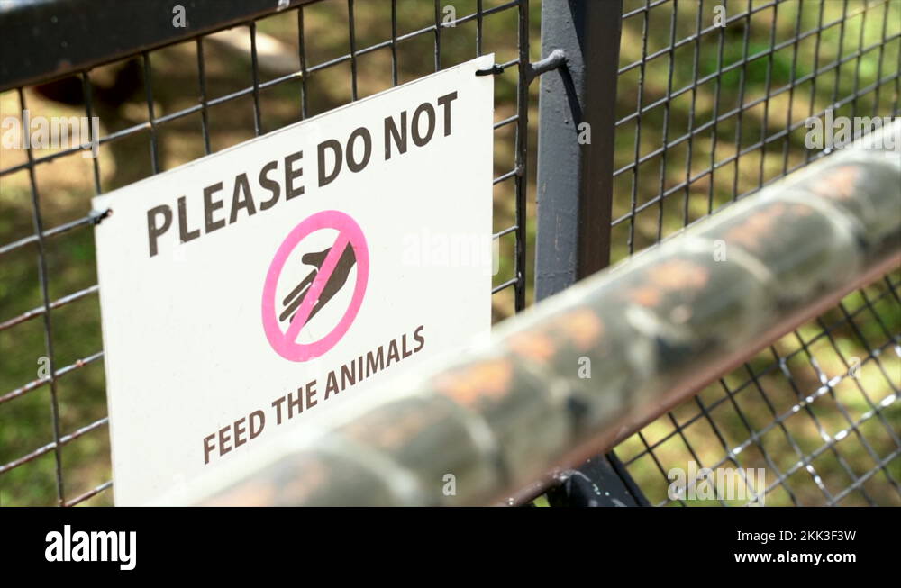 Animal zoo notice Stock Videos & Footage - HD and 4K Video Clips - Alamy