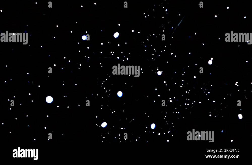Stars floating and twinkling on black background animation Stock Video ...
