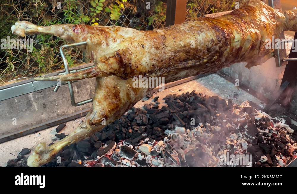 spit roasting a whole lamb over hot coals, camera moving from left to ...