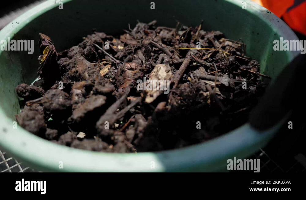 Compost green Stock Videos & Footage - HD and 4K Video Clips - Alamy
