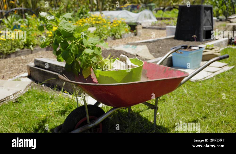 Lawn trolley Stock Videos & Footage - HD and 4K Video Clips - Alamy