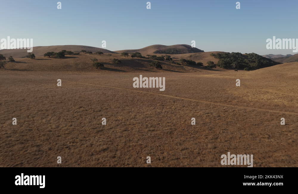 Oak horizontal Stock Videos & Footage - HD and 4K Video Clips - Alamy