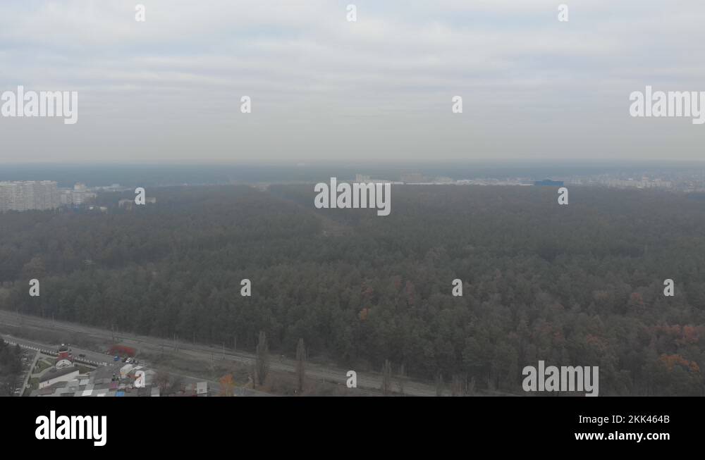 Overcast forest Stock Videos & Footage - HD and 4K Video Clips - Alamy