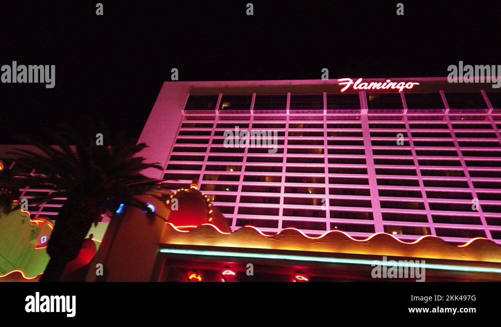 Flamingo Hotel and Casino Building at Night, Las Vegas Strip, Nevada, USA Stock Video Footage ...