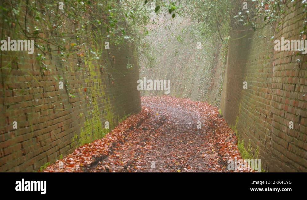 Pathway connection logo Stock Videos & Footage - HD and 4K Video Clips ...