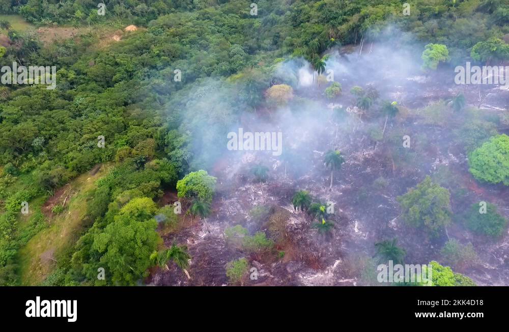 Jungle fire aerial flame Stock Videos & Footage - HD and 4K Video Clips ...