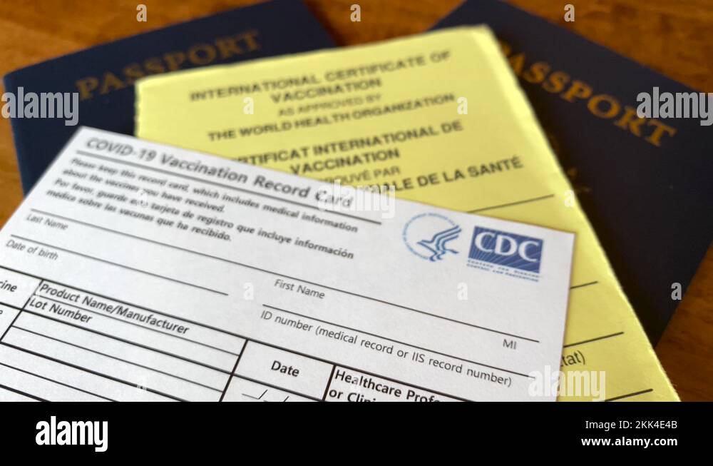 Immunization passport Stock Videos & Footage - HD and 4K Video Clips ...