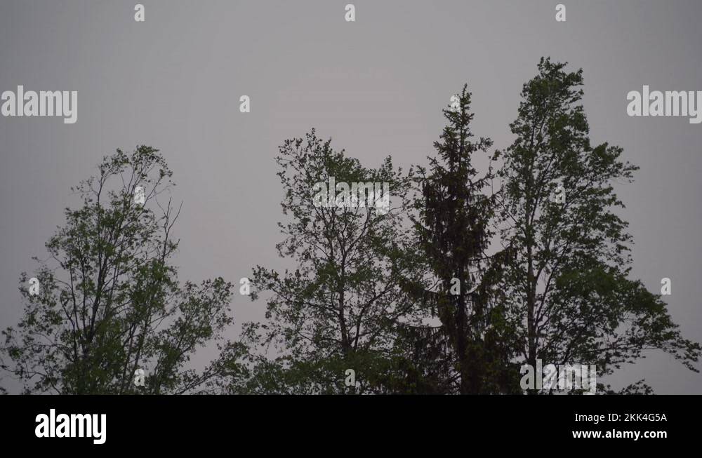 Safety defect Stock Videos & Footage - HD and 4K Video Clips - Alamy