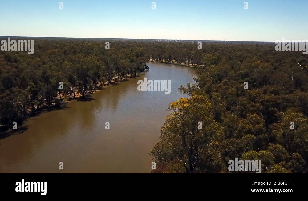 Australian ibis flying Stock Videos & Footage - HD and 4K Video Clips ...