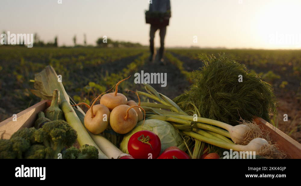 Ranch worker Stock Videos & Footage - HD and 4K Video Clips - Alamy