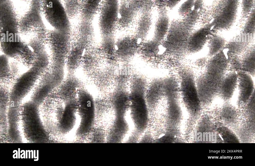 High frequency wave Stock Videos & Footage - HD and 4K Video Clips - Alamy