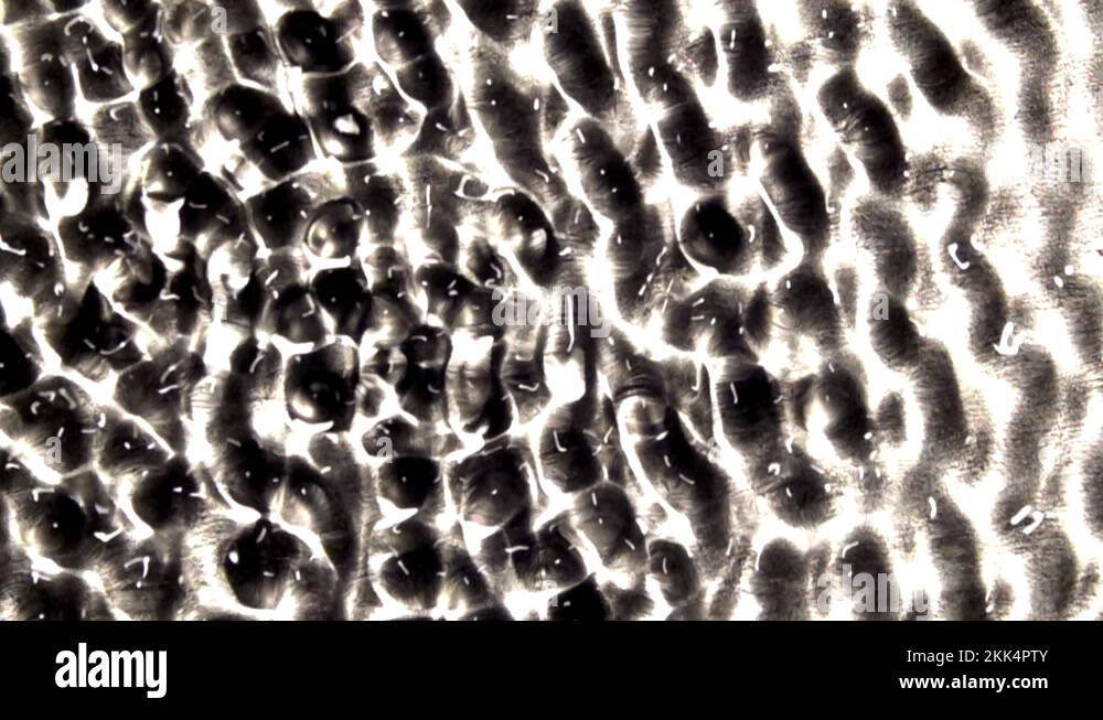 Interference patterns Stock Videos & Footage - HD and 4K Video Clips ...