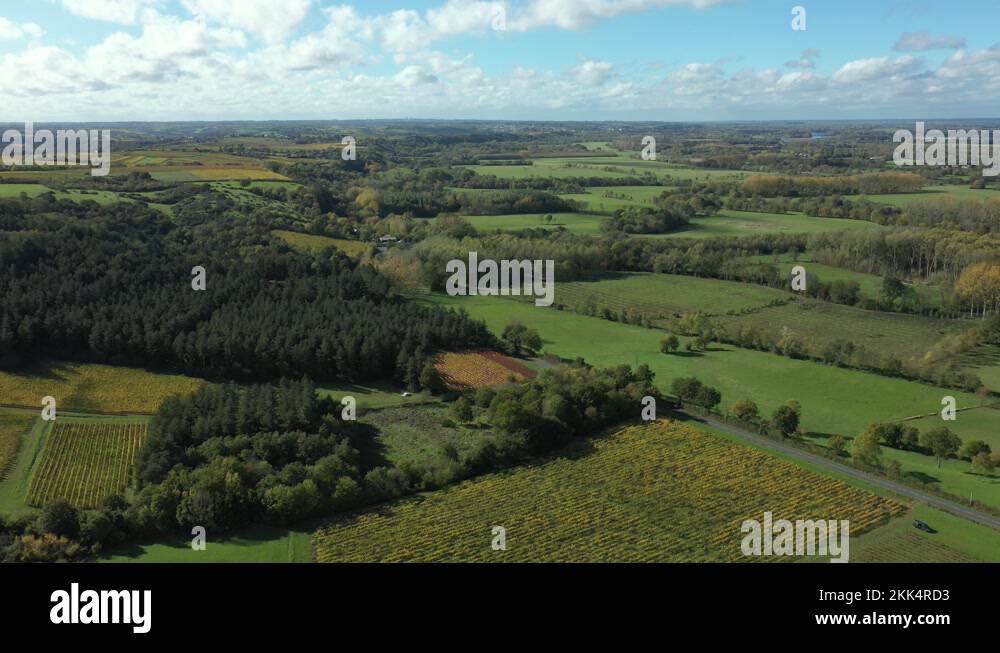 Angevine Stock Videos & Footage - HD and 4K Video Clips - Alamy