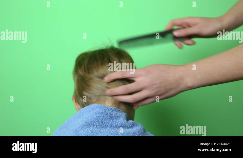 Combing blond hair of preschooler boy, children care and hygiene at ...