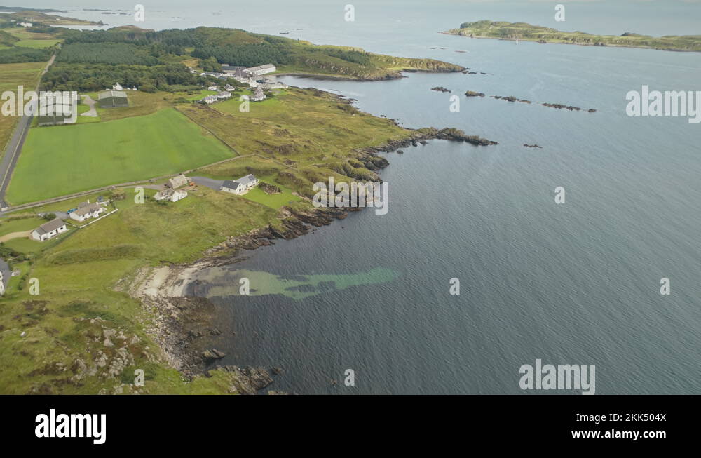 Ellen tree Stock Videos & Footage - HD and 4K Video Clips - Alamy