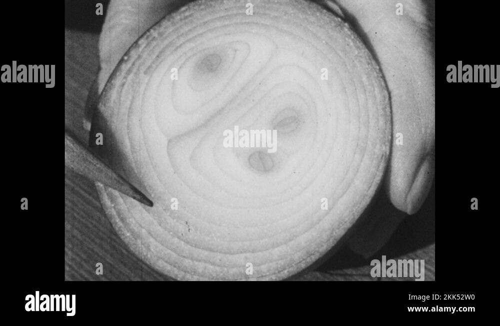 Onion layers Stock Videos & Footage - HD and 4K Video Clips - Alamy
