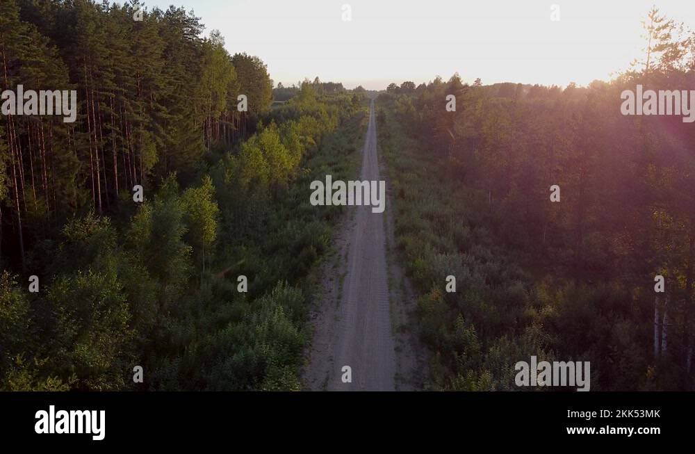 Forest logging path Stock Videos & Footage - HD and 4K Video Clips - Alamy