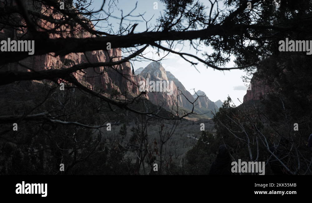 The faraway tree Stock Videos & Footage - HD and 4K Video Clips - Alamy