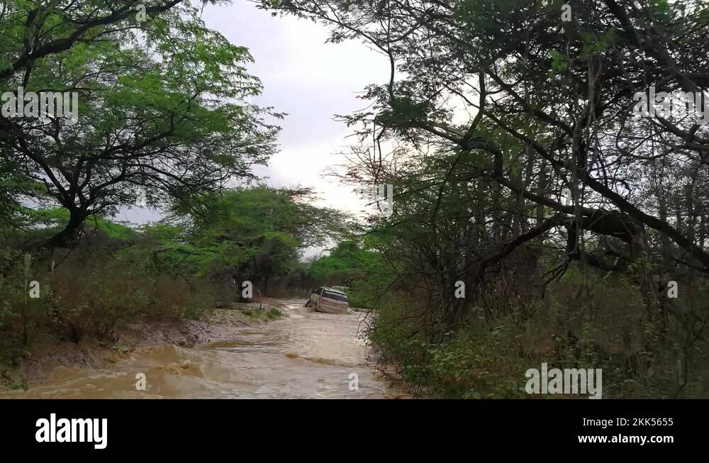 Path flooding after storm Stock Videos & Footage - HD and 4K Video ...