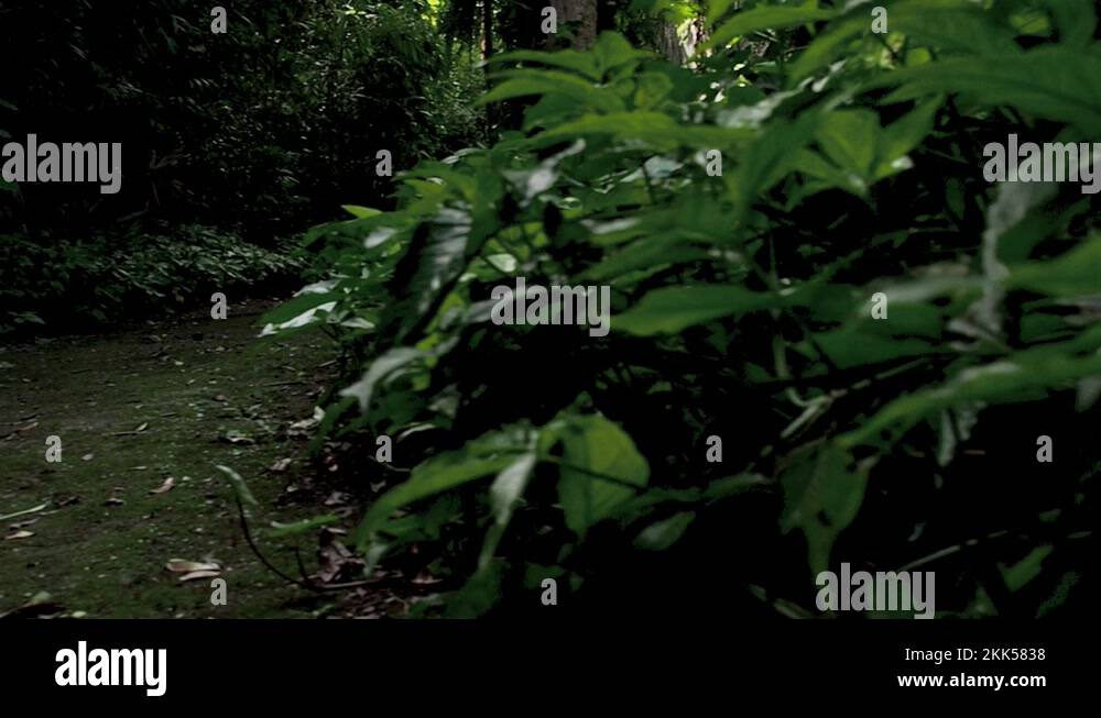 Fort Hamilton is one of many forts in Bermuda. Fort Hamilton is located ...