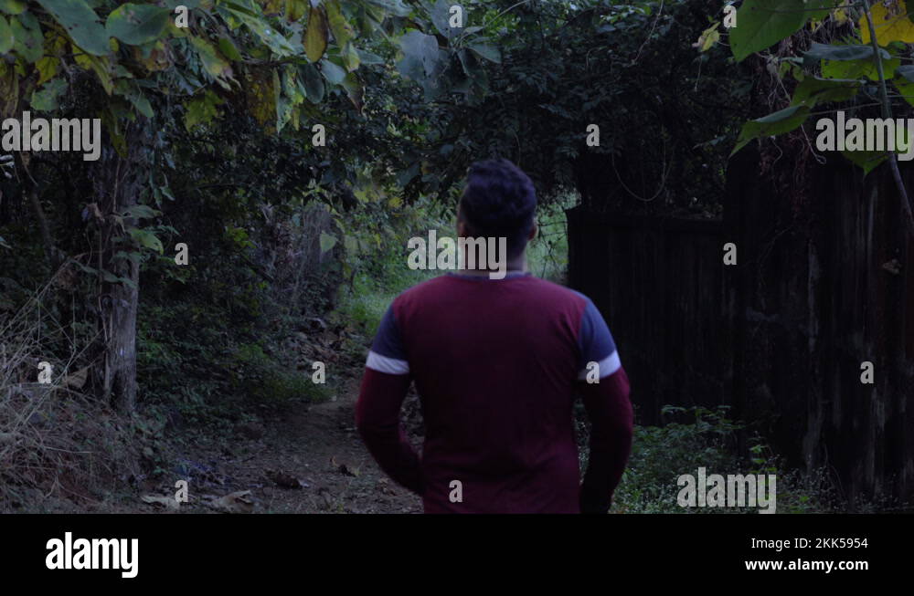 Deep forest india Stock Videos & Footage - HD and 4K Video Clips - Alamy