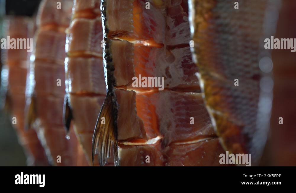 Ide fish Stock Videos & Footage - HD and 4K Video Clips - Alamy