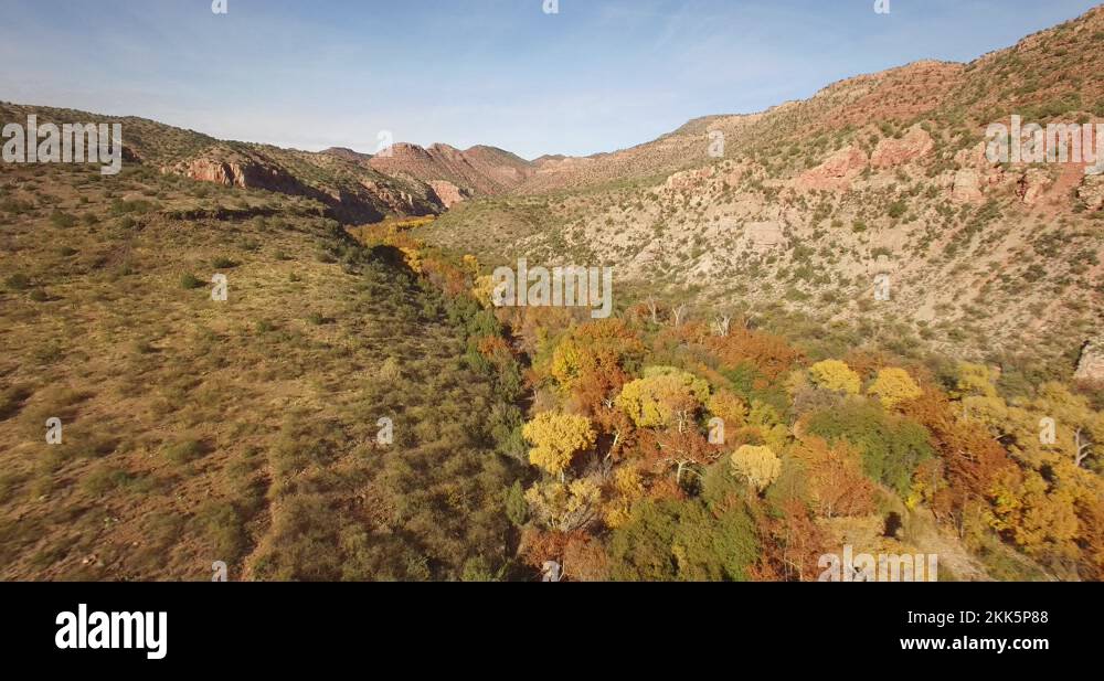 Dramatic fall foliage Stock Videos & Footage - HD and 4K Video Clips ...