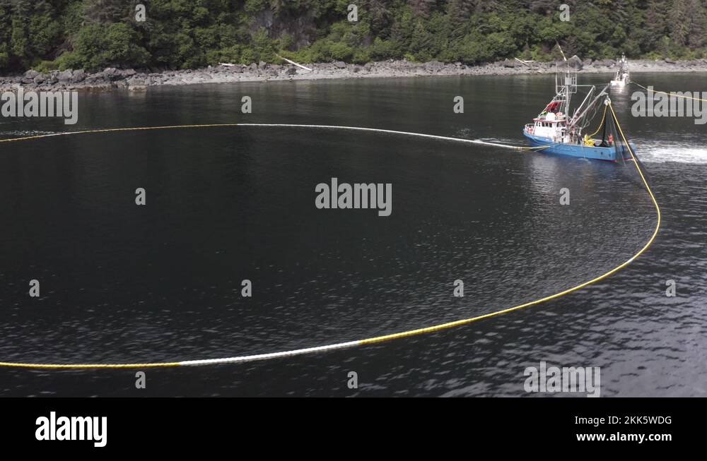 Fishing Trawler Haul Net On Sea With Caught Fish In Alaska. - aerial ...
