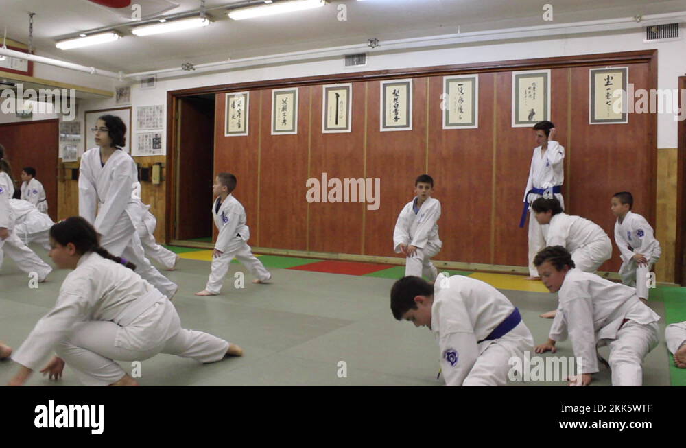 Karate kick class Stock Videos & Footage - HD and 4K Video Clips - Alamy