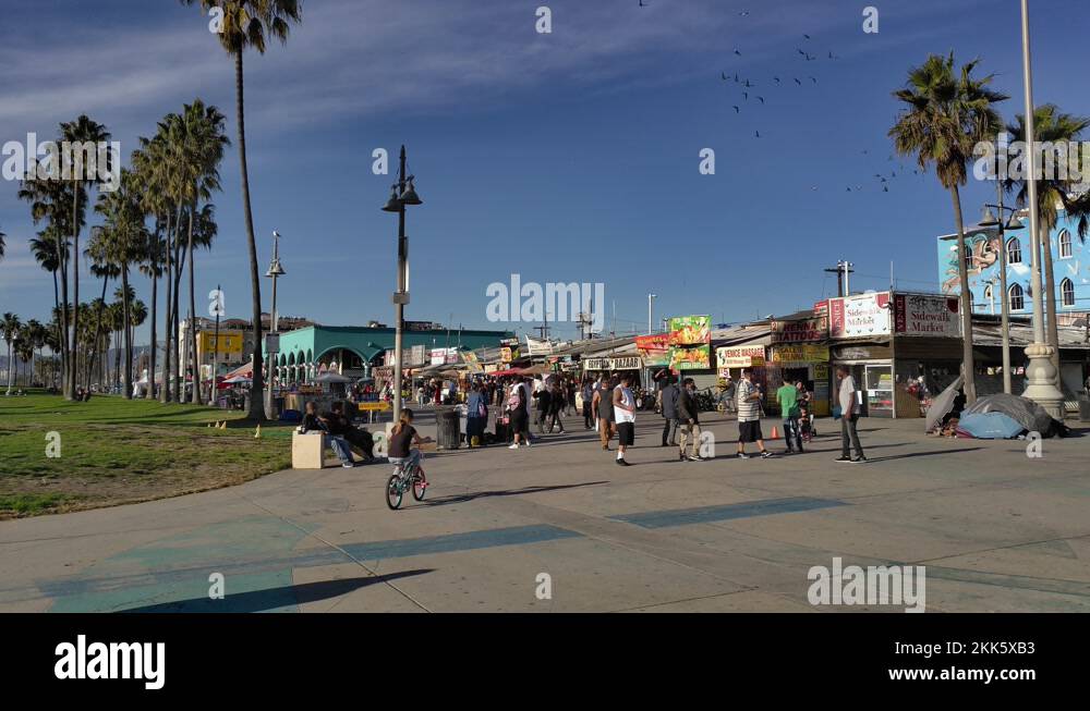 People Walking At Venice Beach Boardwalk shops and stalls and palm ...