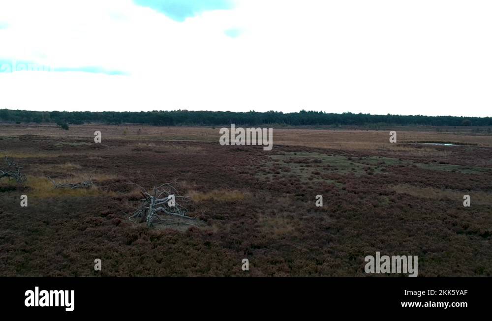 Field sky barren landscape Stock Videos & Footage - HD and 4K Video ...