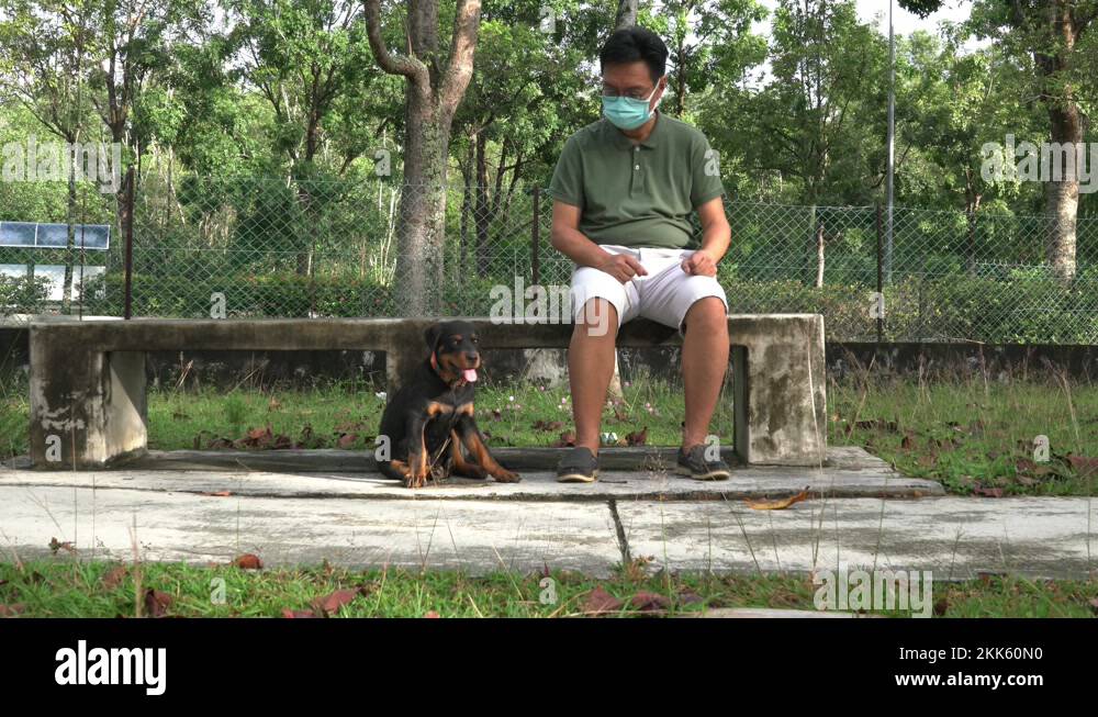 Man wearing face mask sitting on a bench at a park with puppy dog at ...