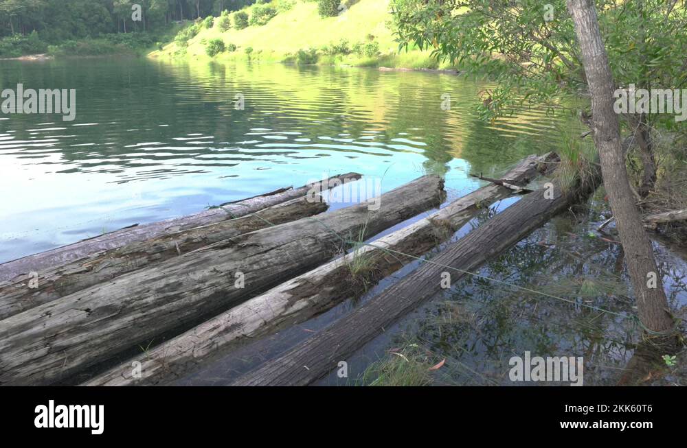 Texture in old logs Stock Videos & Footage - HD and 4K Video Clips - Alamy