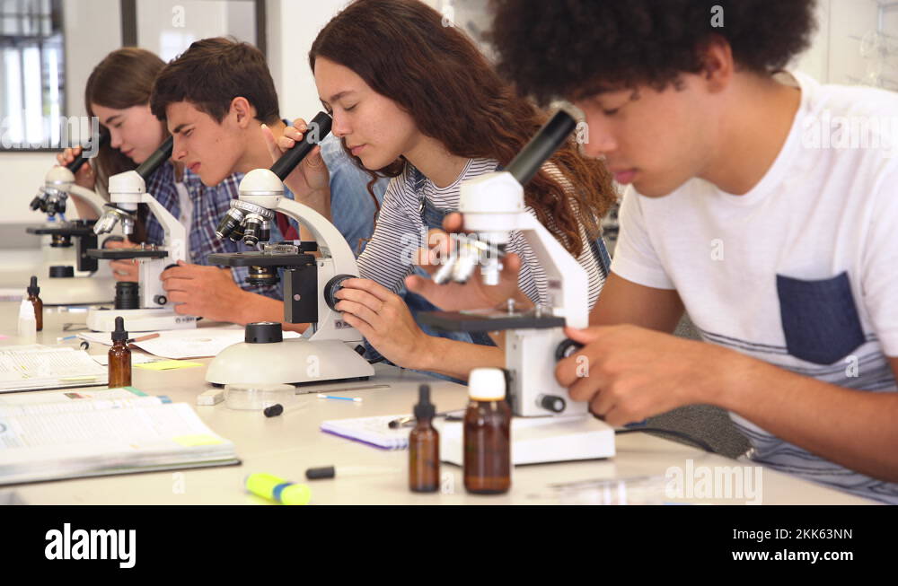 High school classroom lab class Stock Videos & Footage - HD and 4K ...