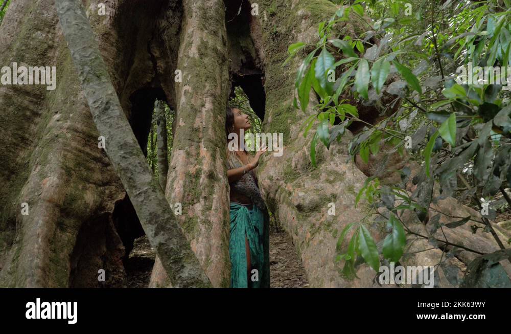 Tree root texture Stock Videos & Footage - HD and 4K Video Clips - Alamy